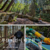 부산 어린이대공원 놀이터 주차장 주차요금 부산 아이랑 갈만한 곳 숲체험 산책로 피크닉 장소 추천 네이버 블로그